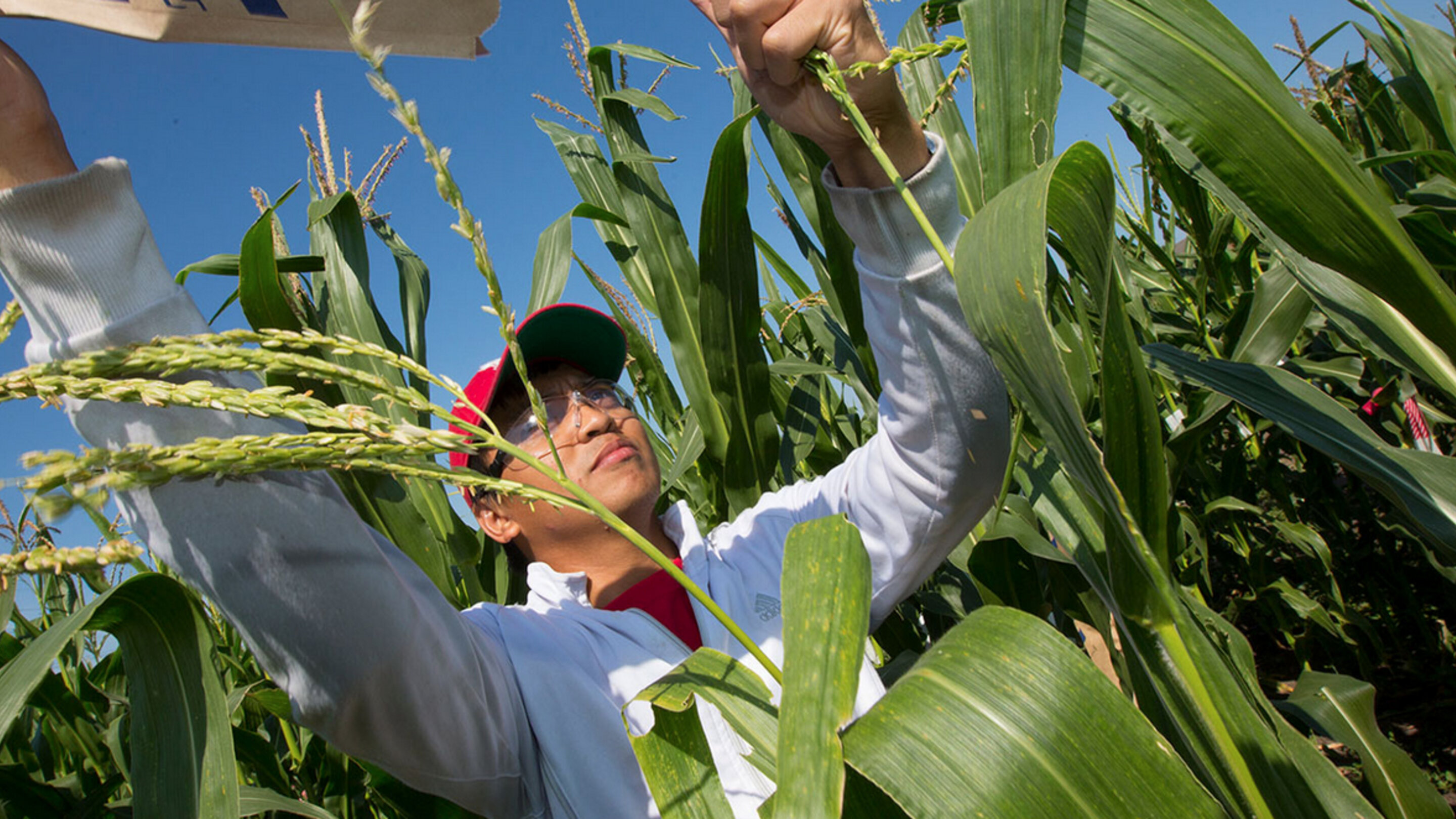 Custom Rates for 2025 Field Operations | Nebraska Extension | Nebraska