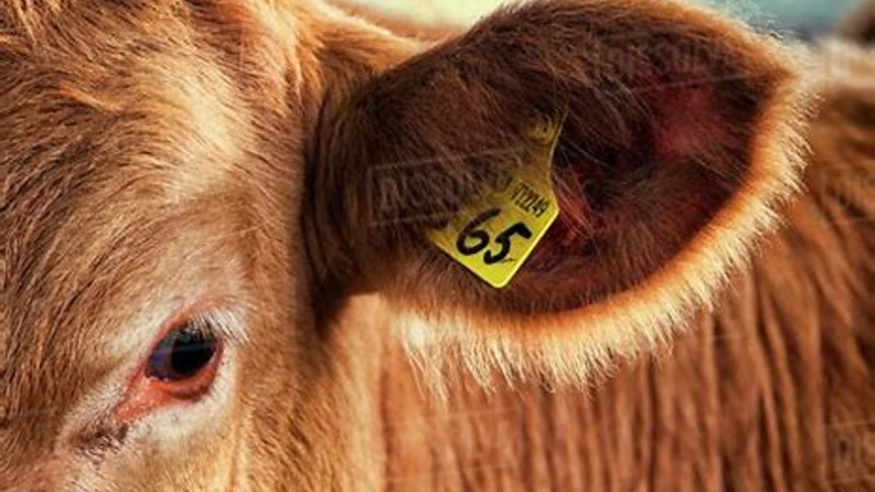 Nebraska Extension | Nebraska Extension | Nebraska