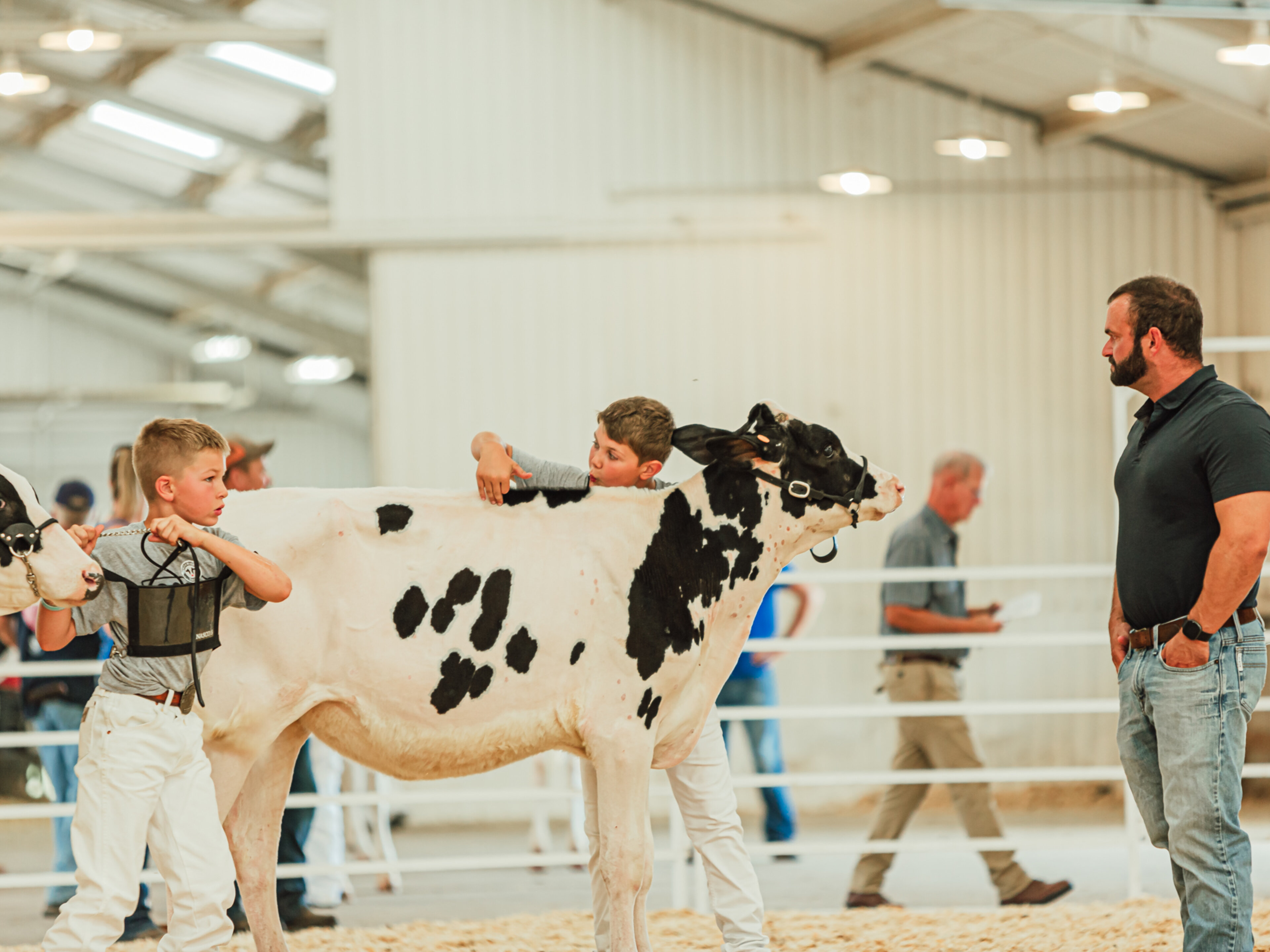 Livestock Information | Nebraska Extension in Gage County | Nebraska ...