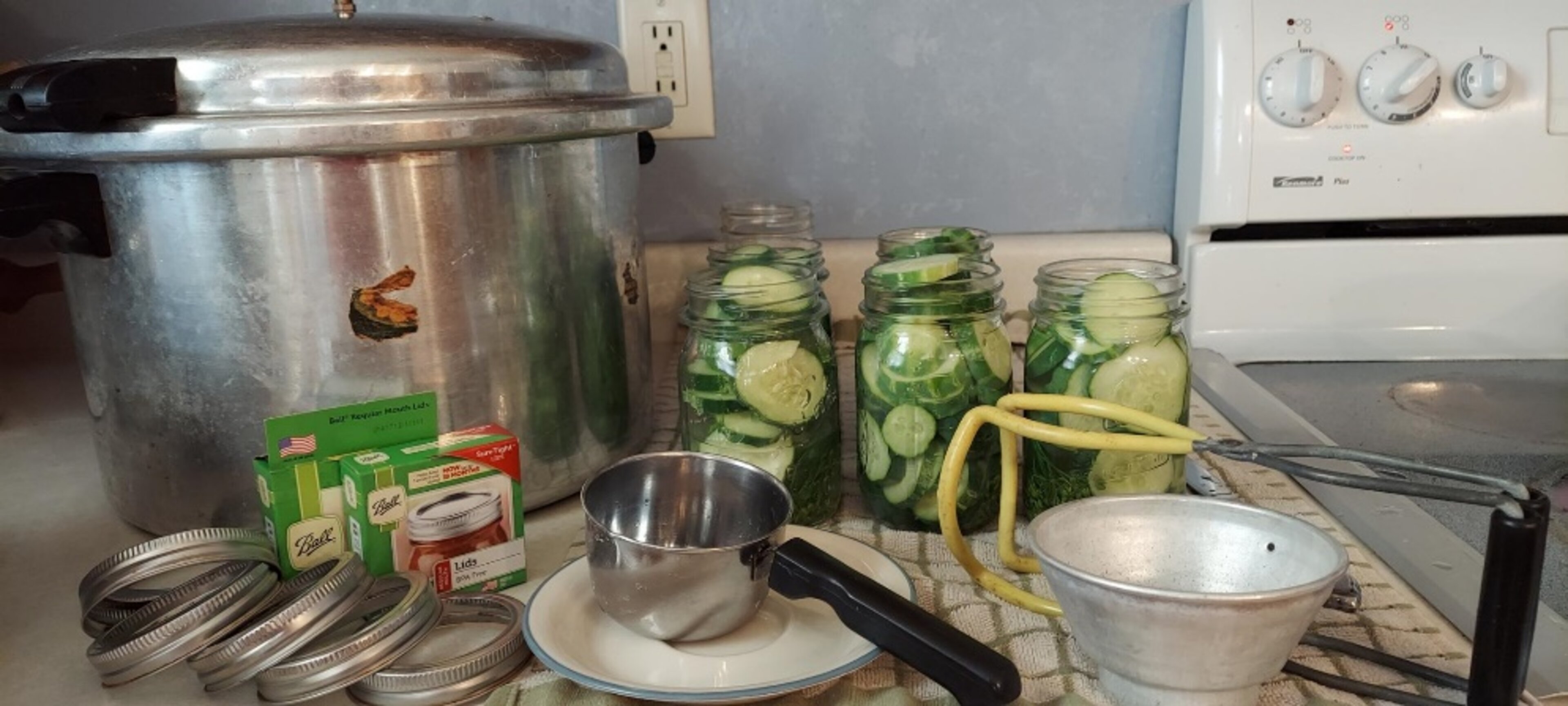 Canning Basics and Pressure Canning Testing | Nebraska Extension in ...