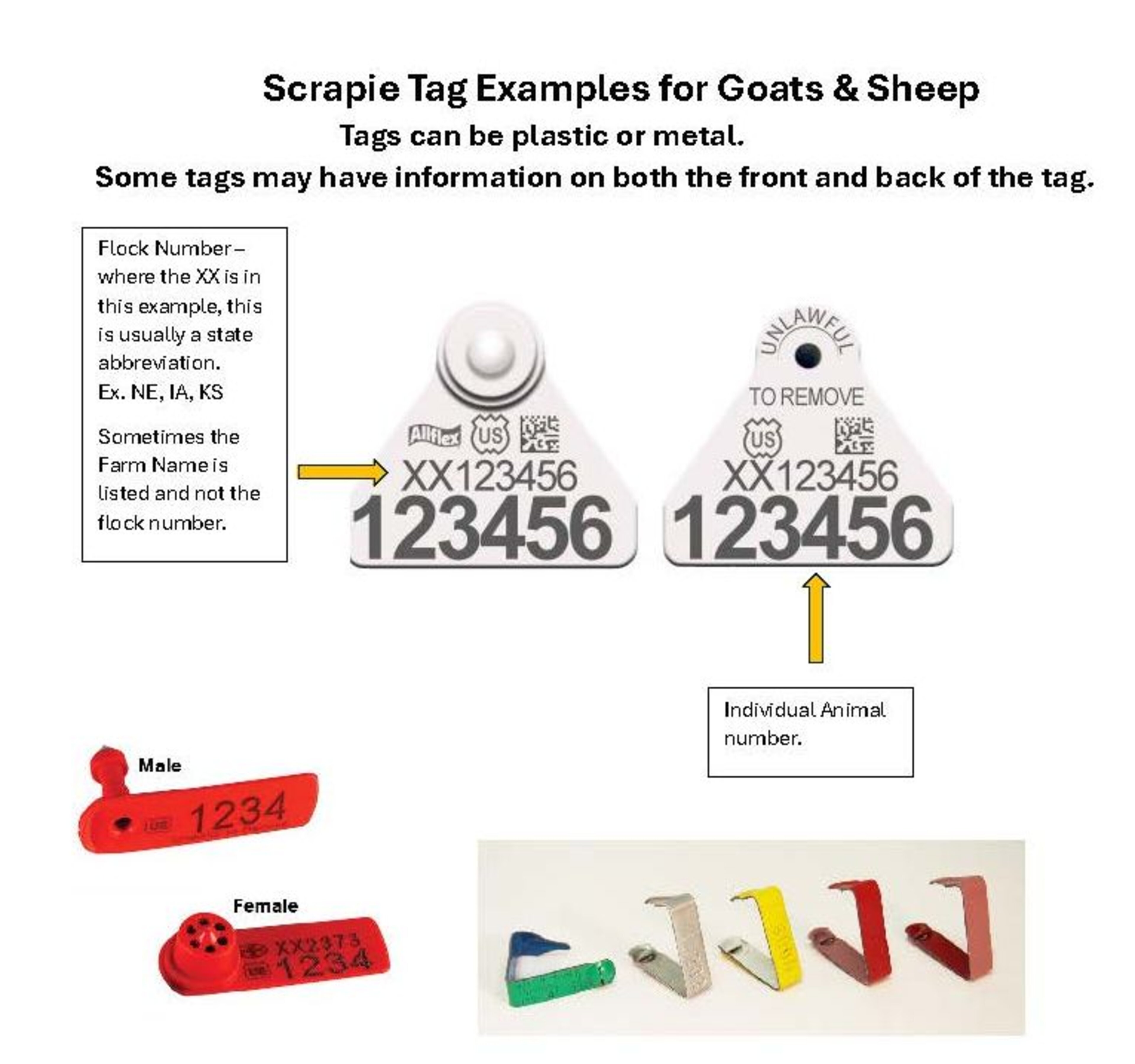 Scrapie Tag Information for Goat & Sheep Exhibitors | Nebraska ...