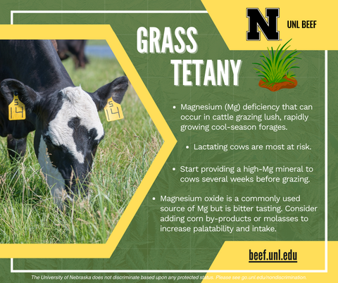 Grass Tetany | Nebraska Extension | Nebraska